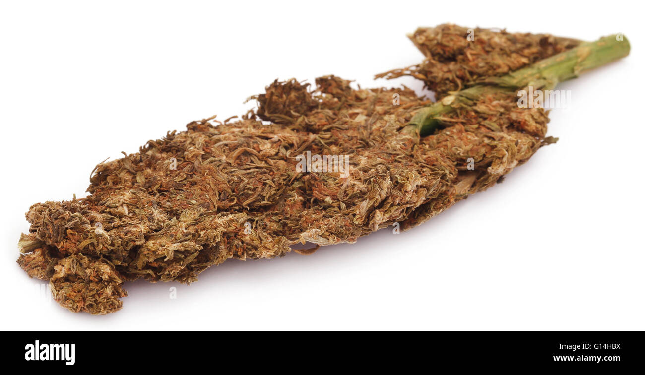 Alternative medicine medicinal cannabis Cut Out Stock Images & Pictures ...