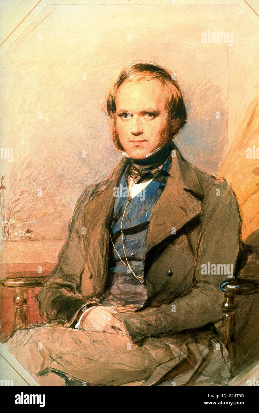 Charles darwin portrait hi-res stock photography and images - Alamy