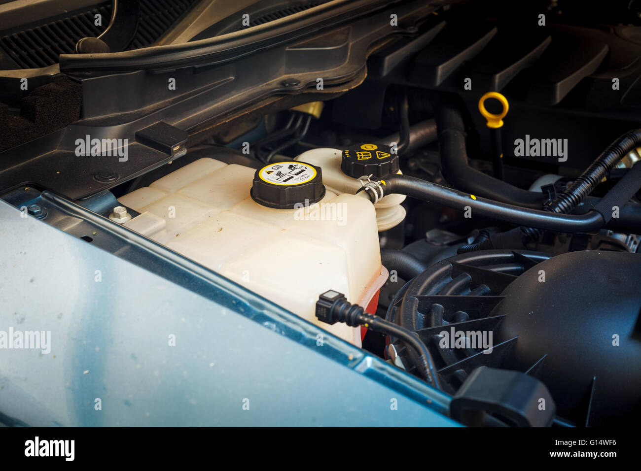 checking car engine and Auto Repair Stock Photo - Alamy