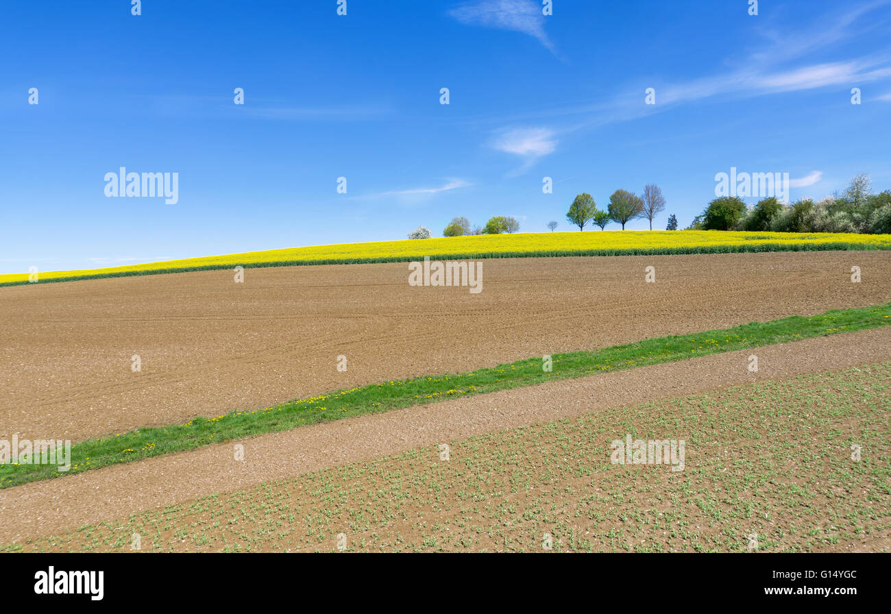 Fields in spring Stock Photo - Alamy