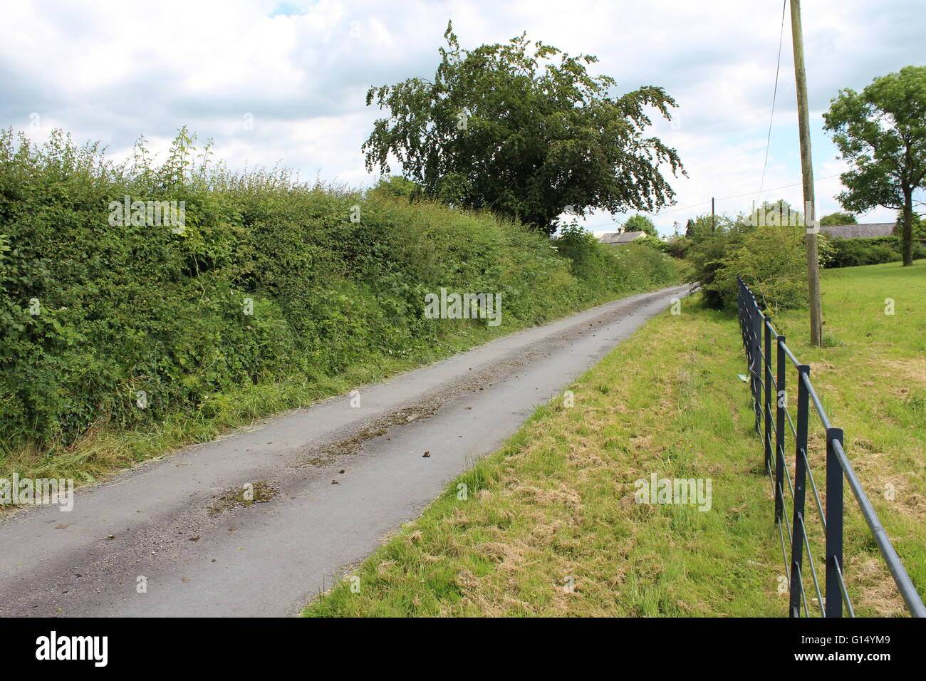 Countryside green trees hi-res stock photography and images - Alamy