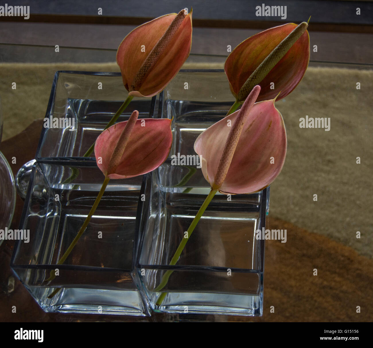 Modern glass vase hi-res stock photography and images - Alamy