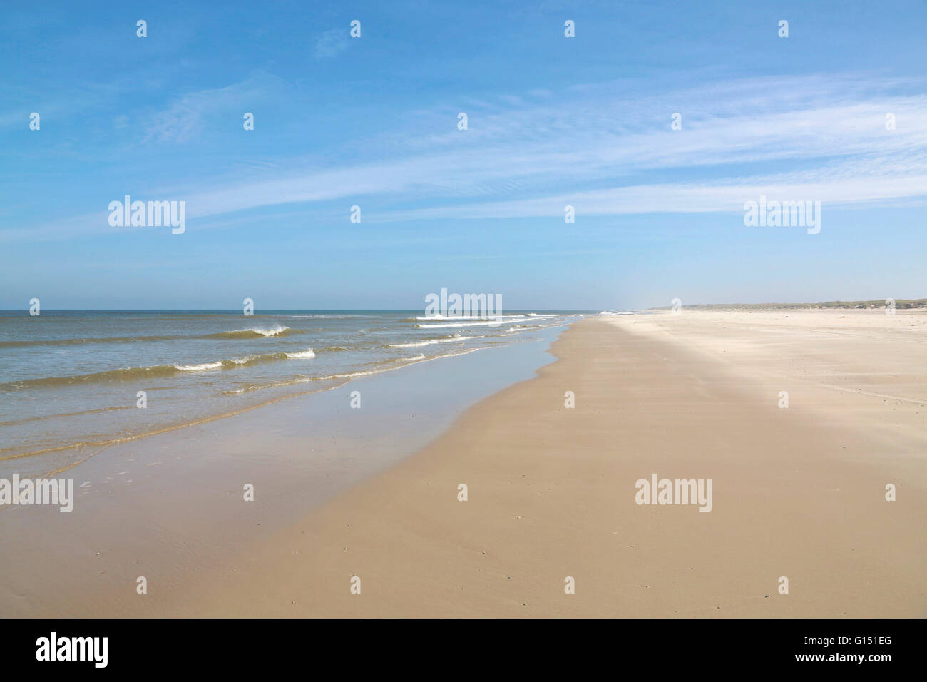 Coastline of dutch Wadden island Vlieland Stock Photo - Alamy