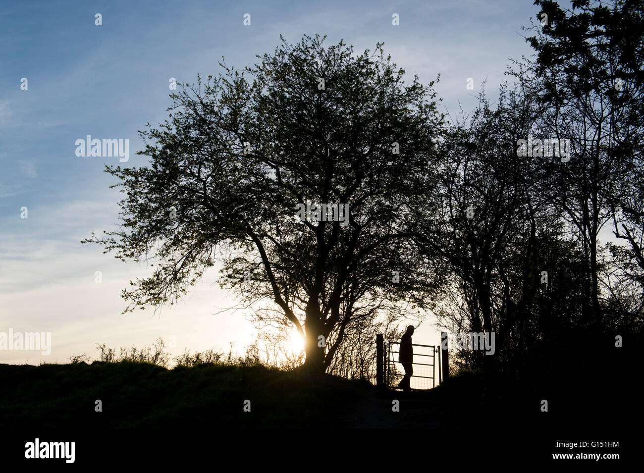 Man Walking Through Gate With Sun High Resolution Stock Photography and ...