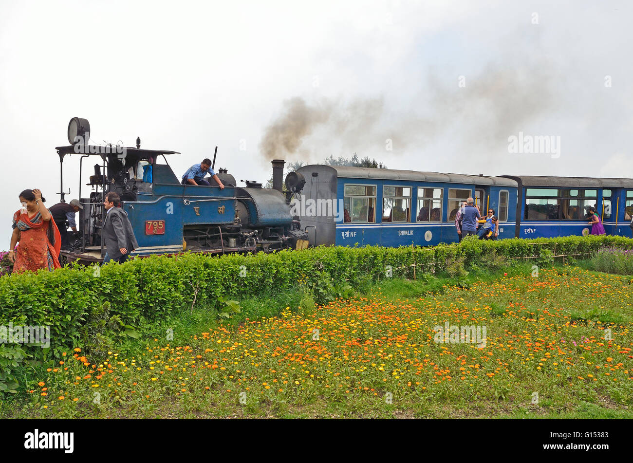 Steam Locomotive hauled Darjeeling Himalayan Railway at Batasia Loop ...