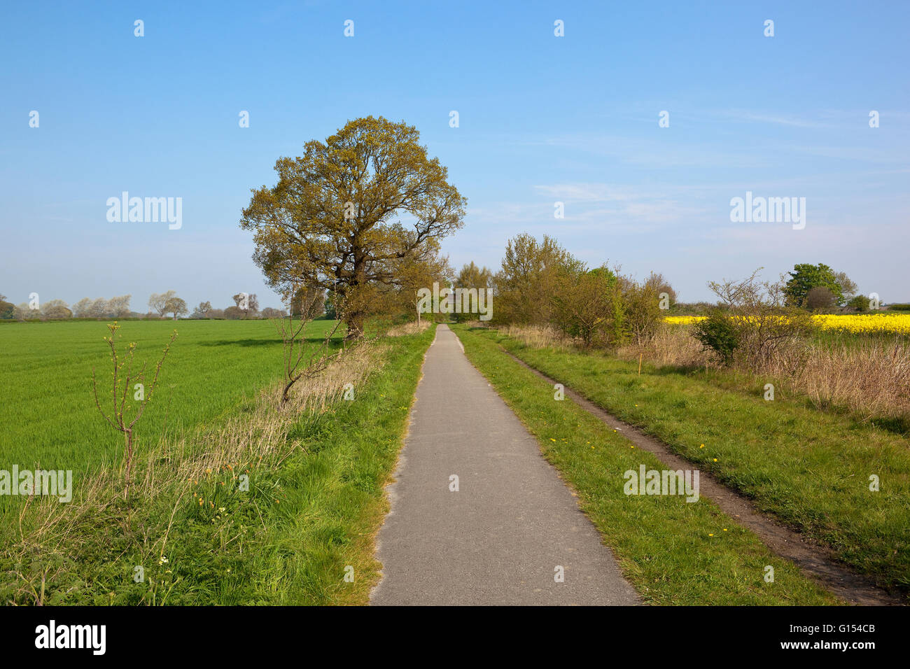 A rural cycle path through the agricultural landscape of the Vale of ...