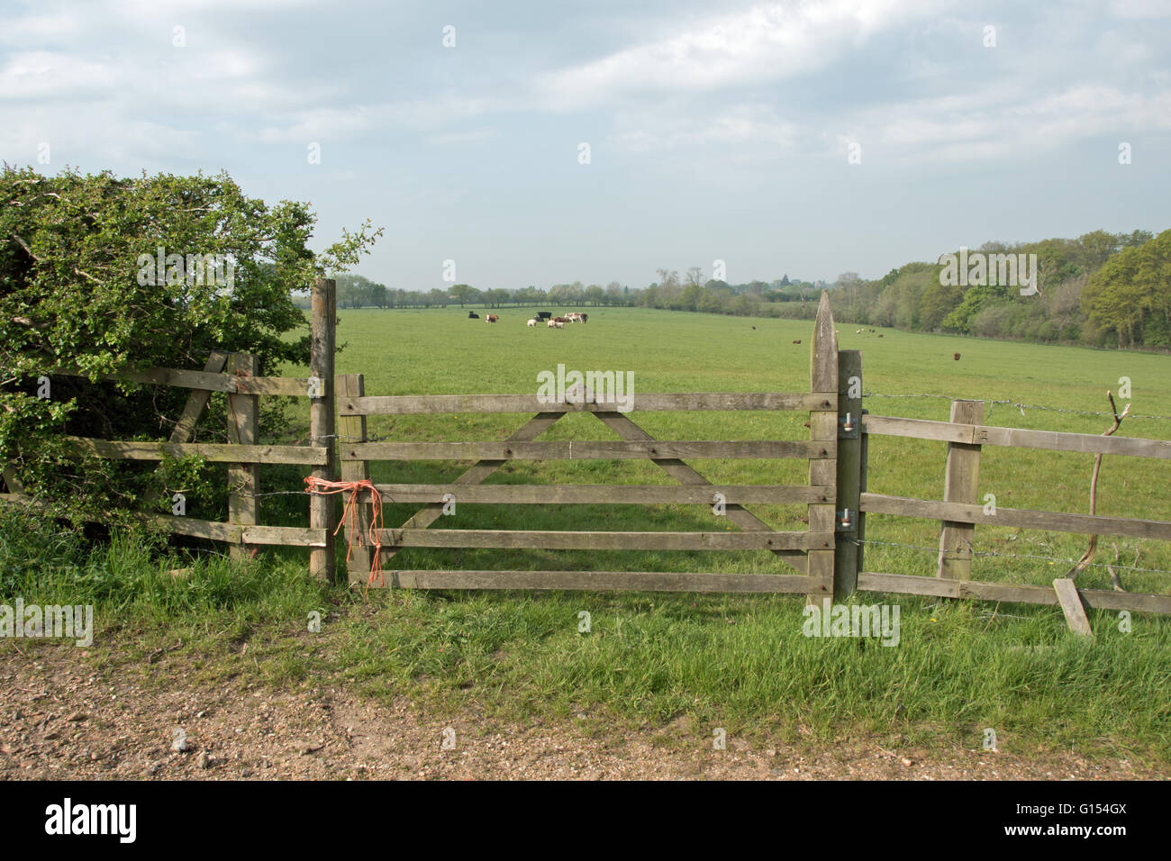 A farm gate in Buckinghamshire countryside, UK Stock Photo - Alamy