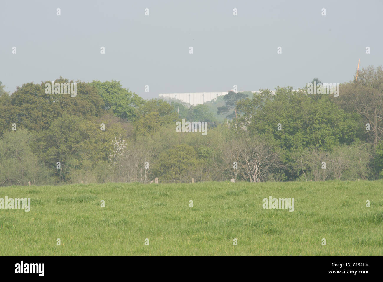 Carbuncles High Resolution Stock Photography and Images - Alamy