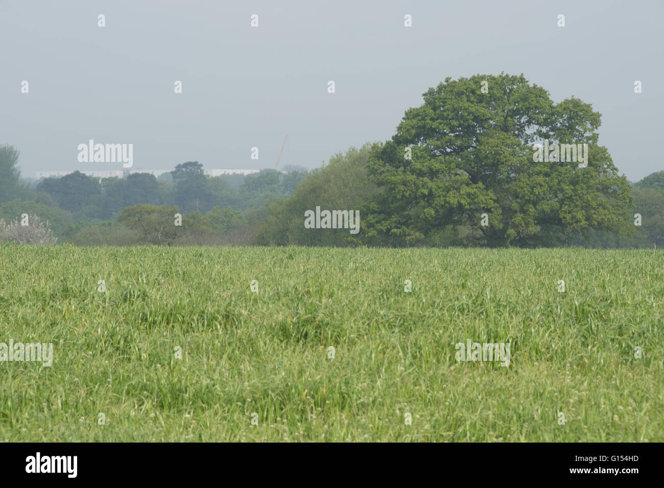 Pinewood Studios expansion...architectural carbuncles Stock Photo - Alamy