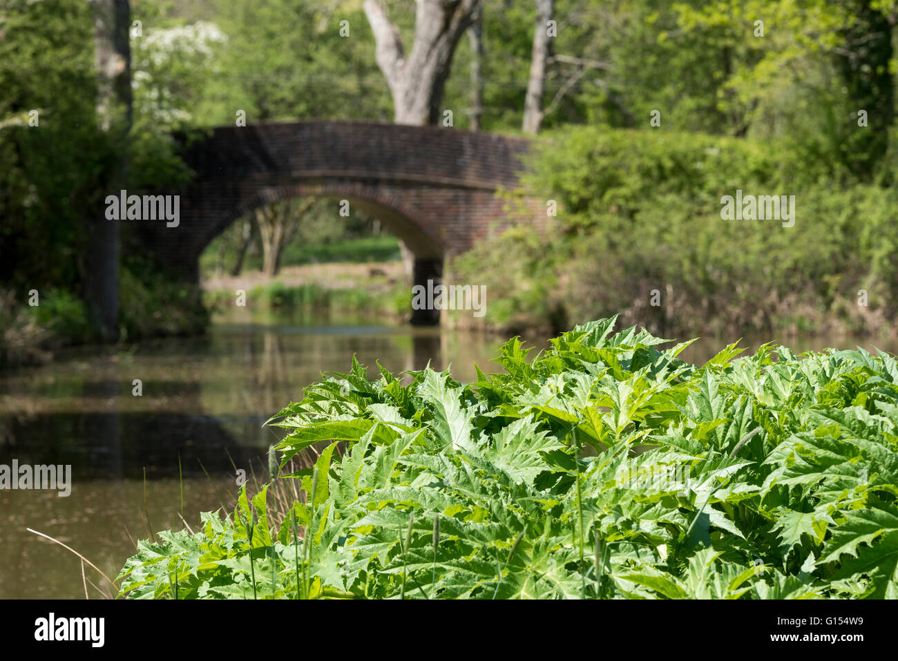 Brick Arch Bridge Stock Photos & Brick Arch Bridge Stock Images - Alamy