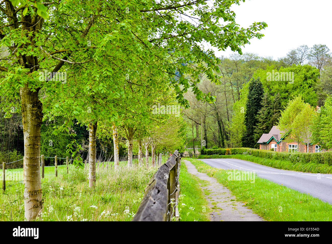 Scenic walk thru a street on Albury, England in spring Stock Photo - Alamy
