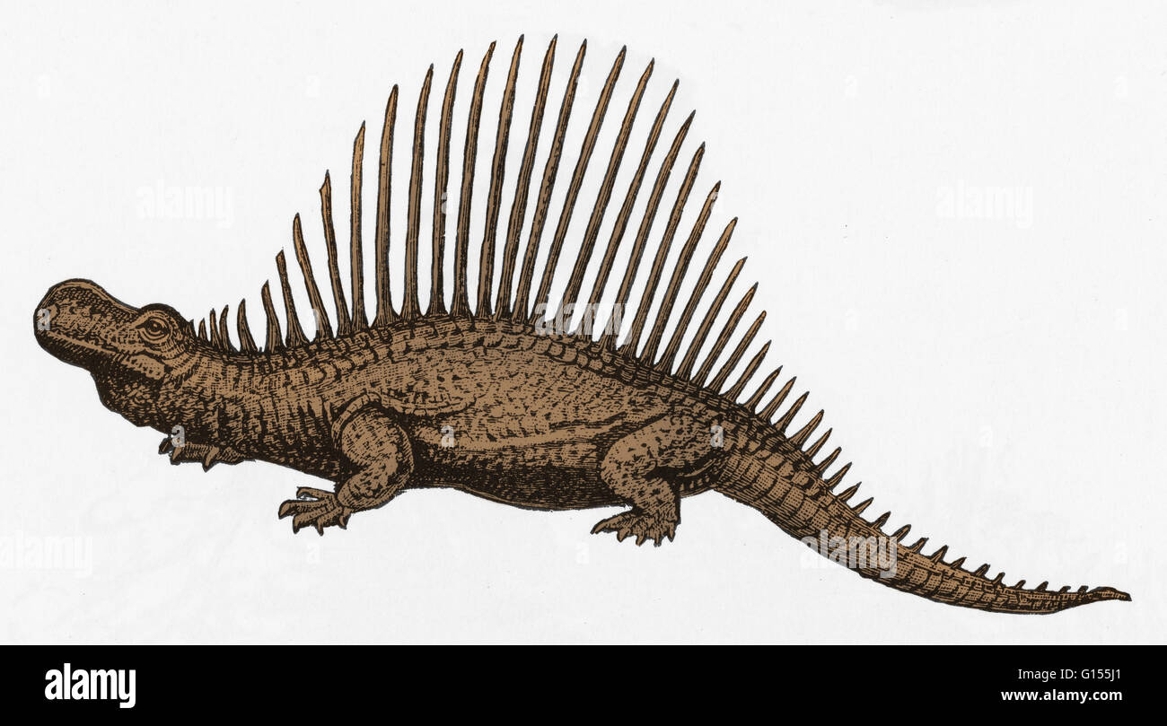 Illustration of a dinosaur Stock Photo - Alamy
