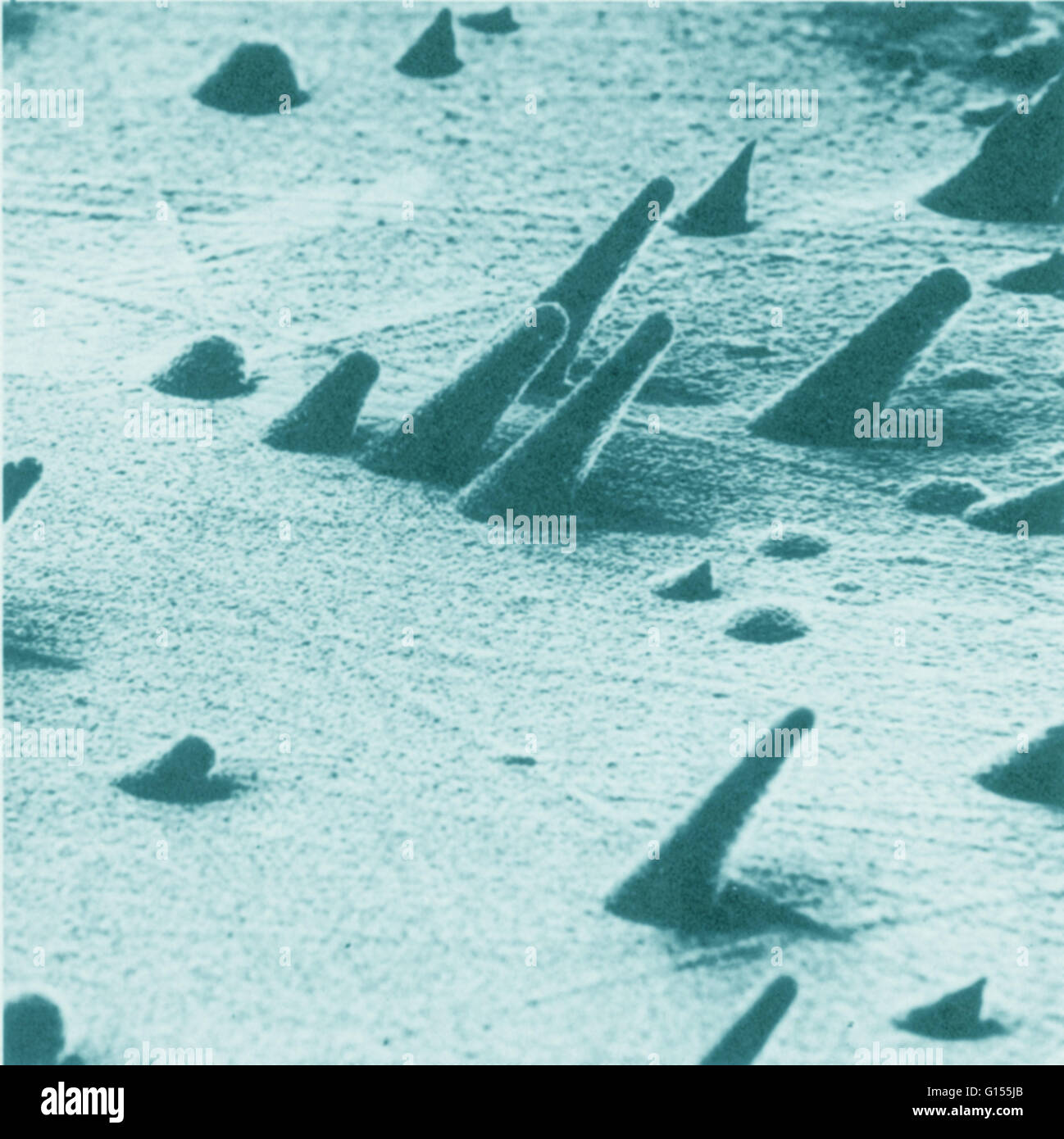 Though we are relatively safe from cosmic rays, they represent a long ...