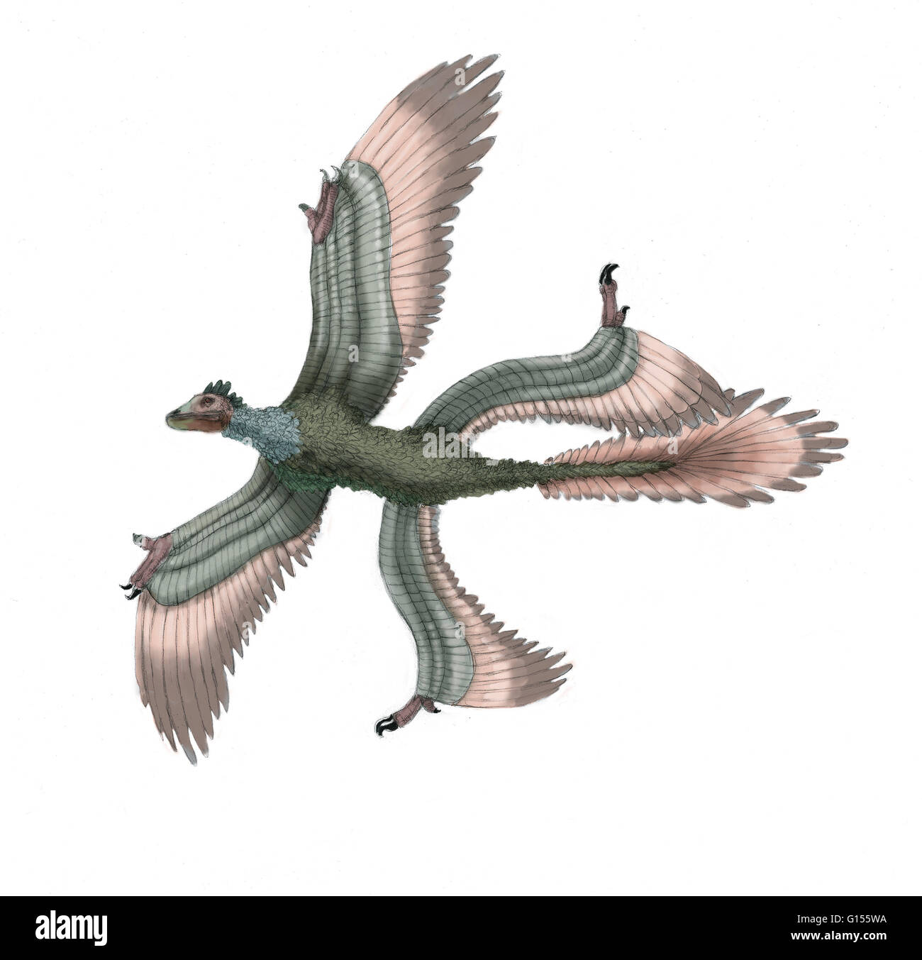 Flight reconstruction Cut Out Stock Images & Pictures - Alamy