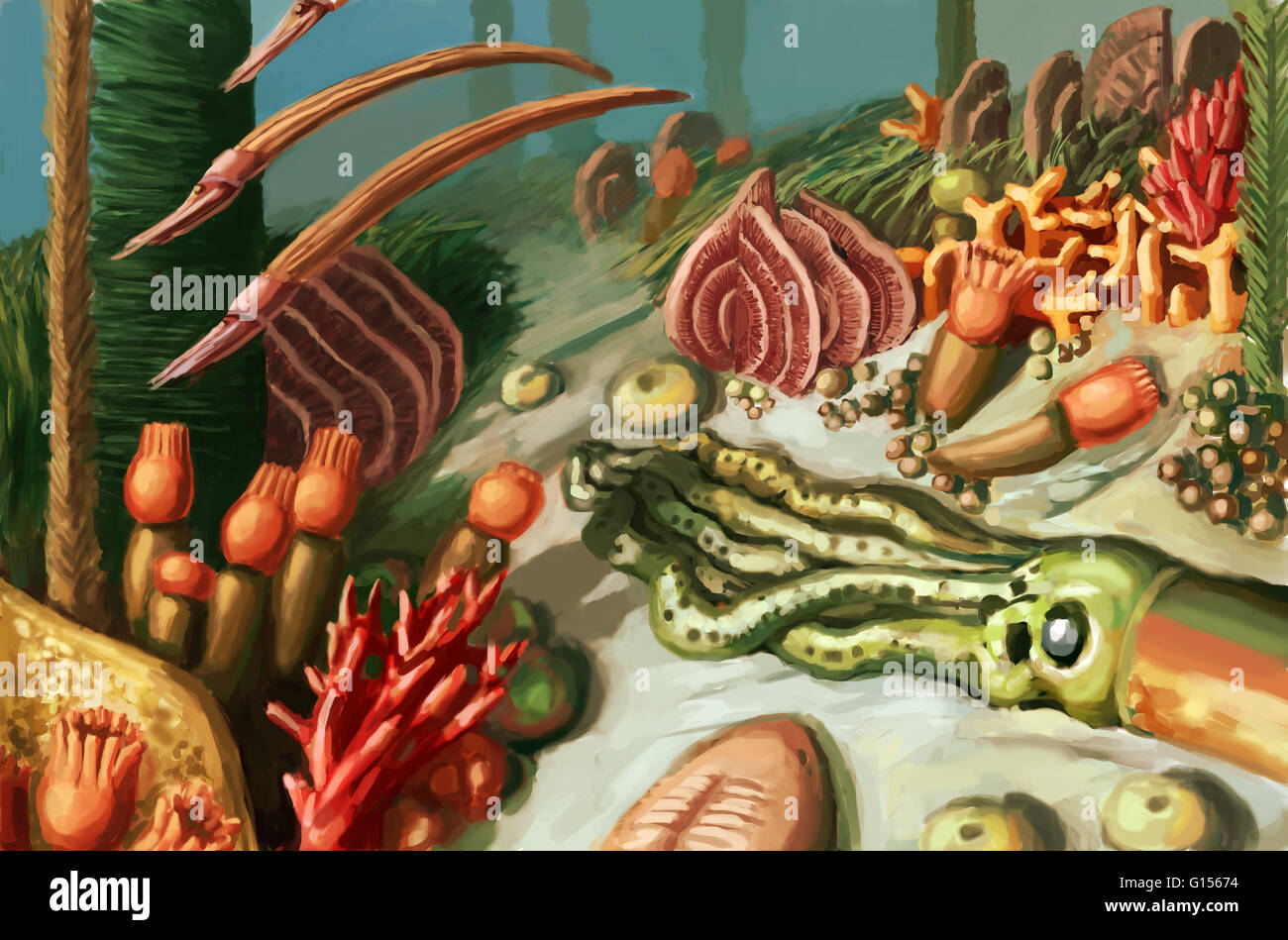 Ordovician period illustration hi-res stock photography and images - Alamy