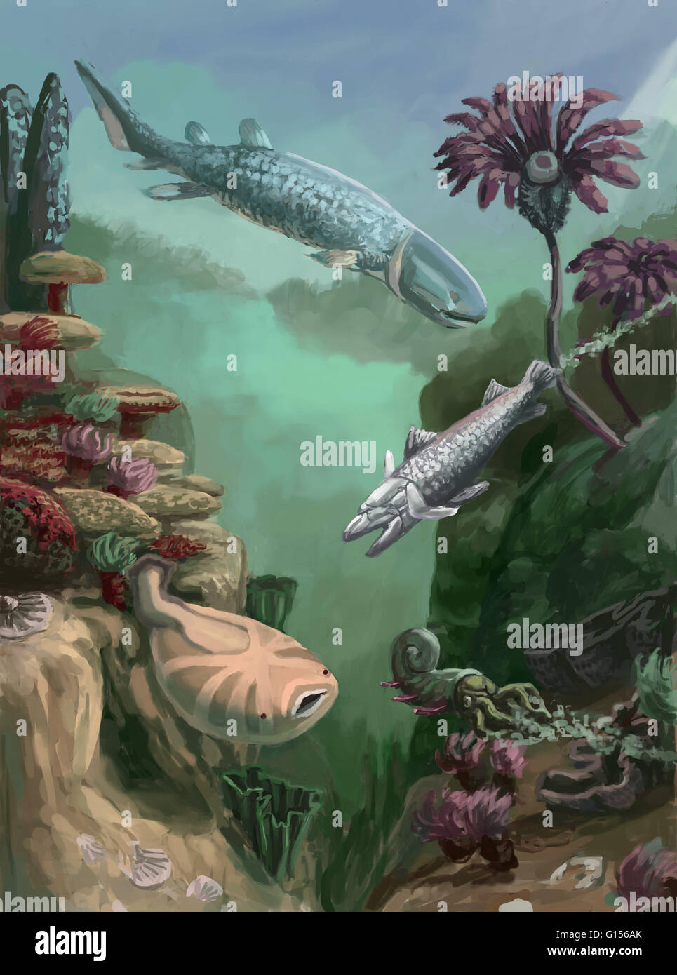 Devonian Period Underwater Plants The Devonian Period