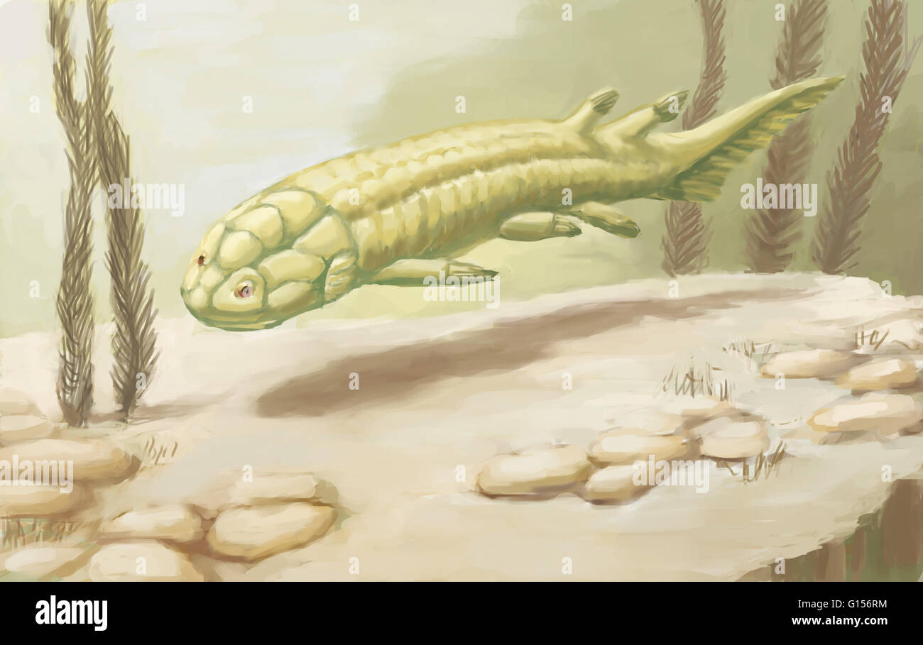 Illustration of a Holoptychius. Holoptychius is an extinct Devonian ...
