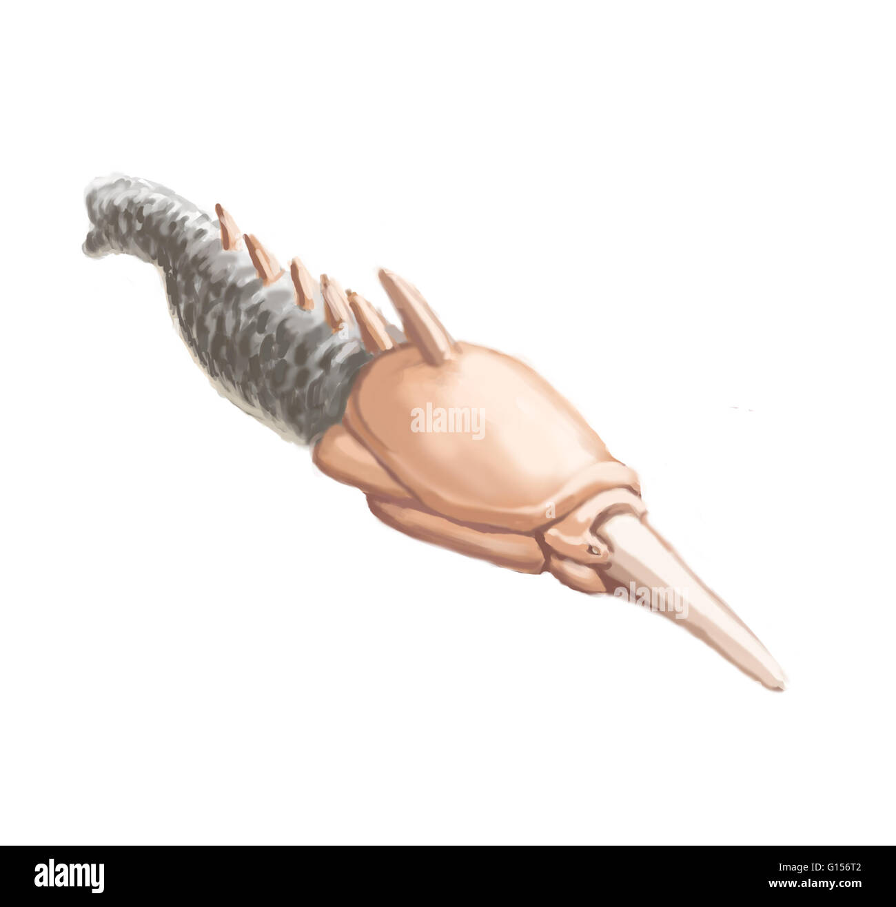 Prehistoric marine life. Ostracoderms ("shell-skinned") were the ...