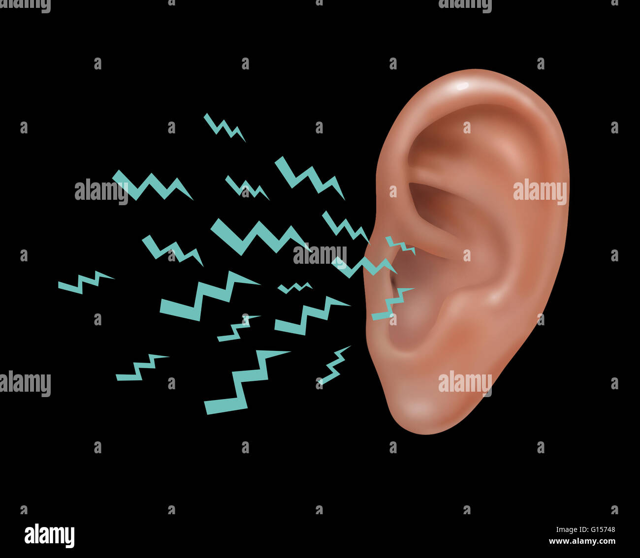 Illustration depicting how sound enters the outer human ear Stock Photo ...