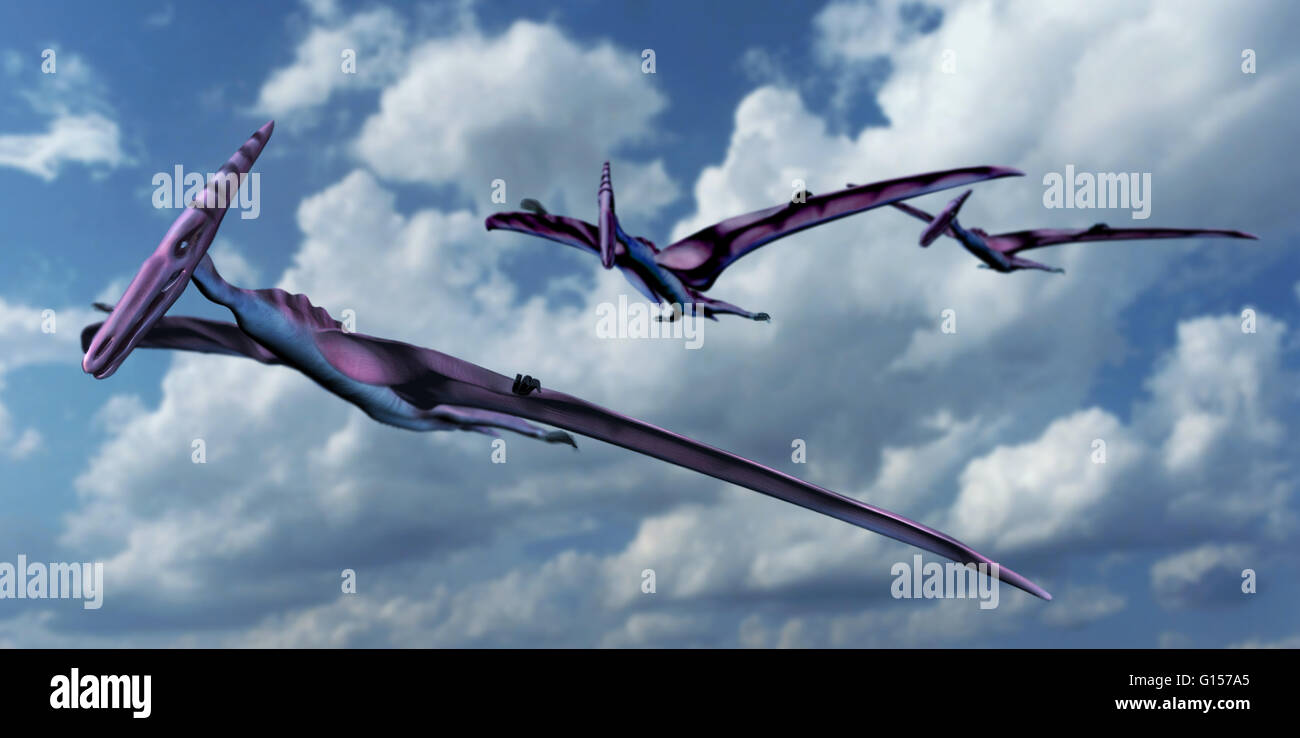 Illustration of Pterodactyls in flight. Pterodactyls are of the late ...