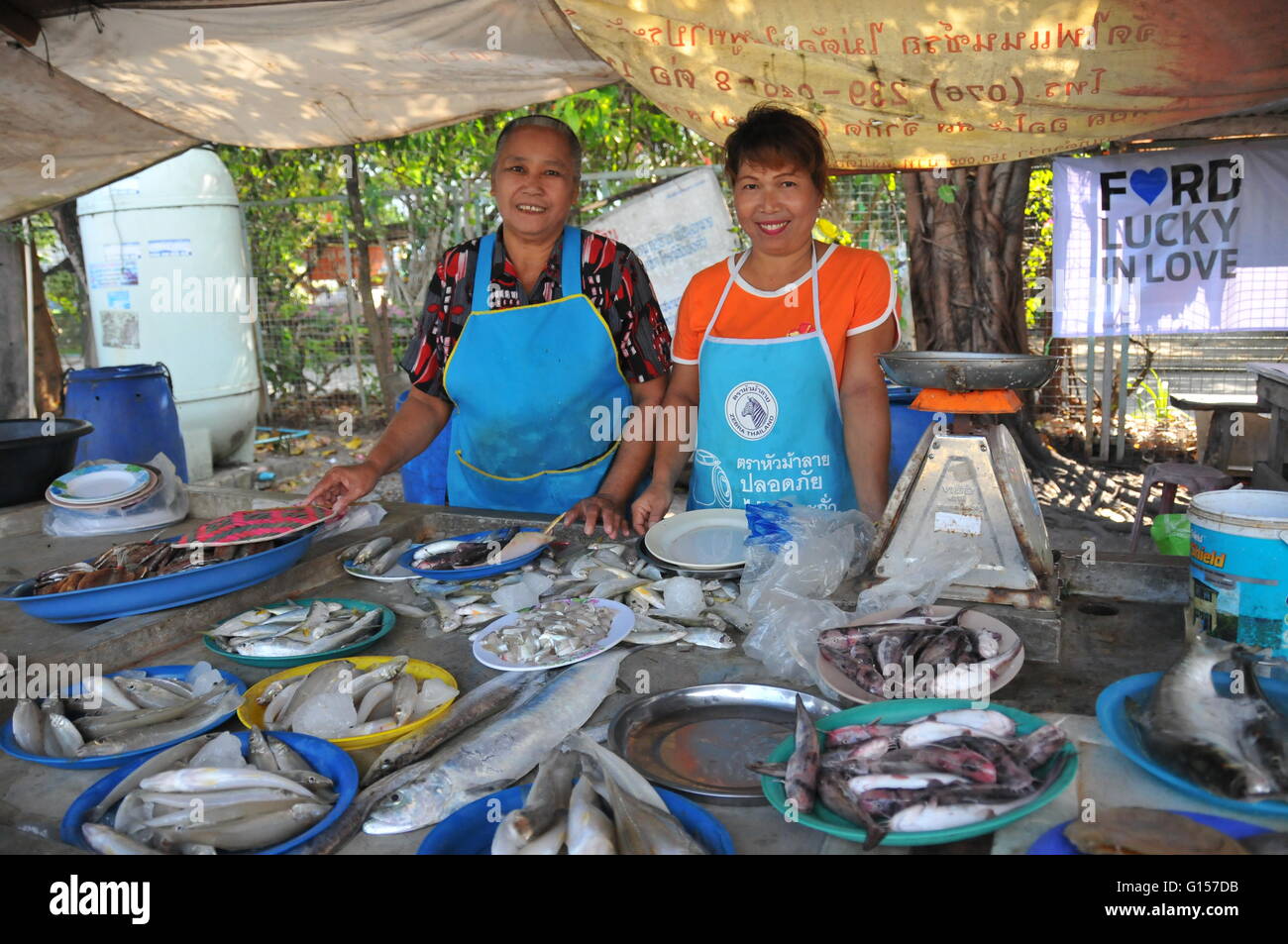 Two lady fish sellers in their fish stall in Phuket Town Thailand Stock ...