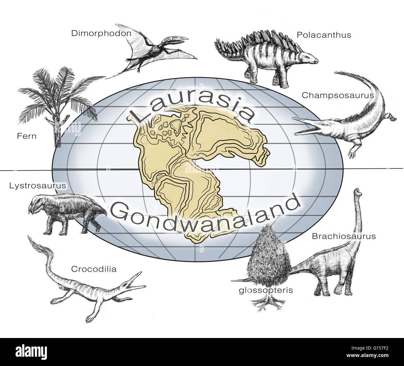 Illustration of common plants and animals on the two supercontinents ...