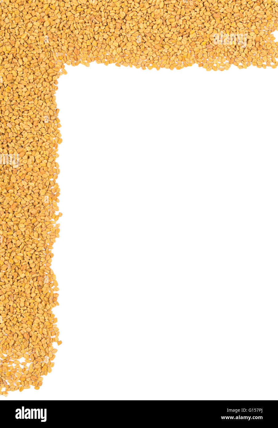 Whole, unprocessed fenugreek (Trigonella foenum-graecumcumin) seeds ...