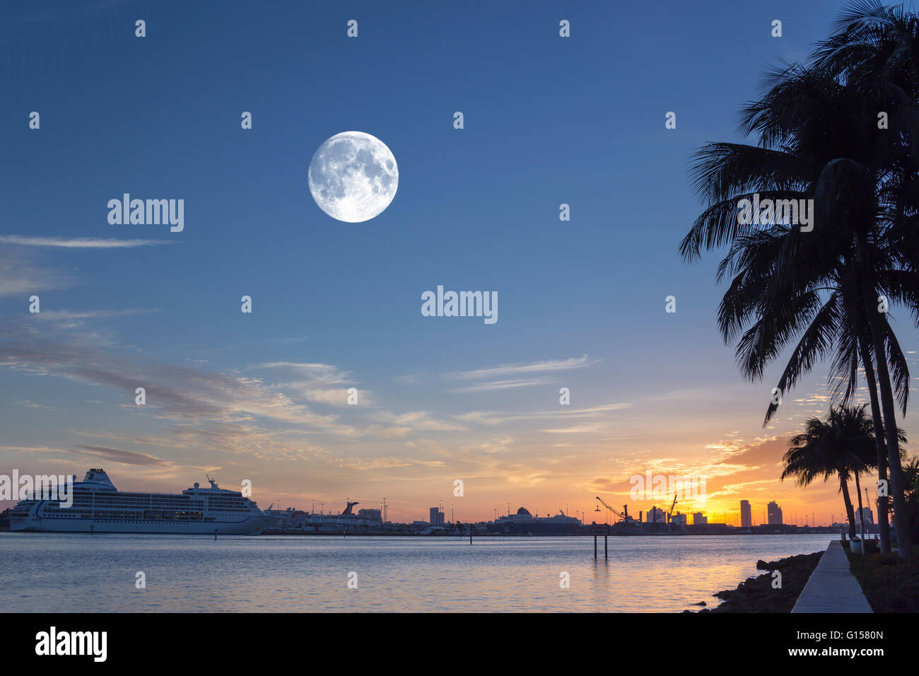 PORT OF MIAMI SKYLINE BISCAYNE BAY MIAMI FLORIDA USA Stock Photo - Alamy