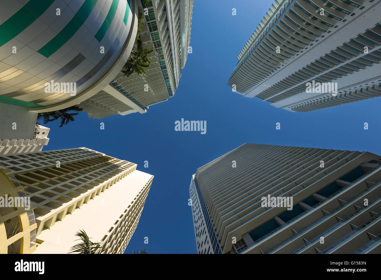 LUXURY HIGH RISE SKYSCRAPERS DOWNTOWN MIAMI FLORIDA USA Stock Photo - Alamy