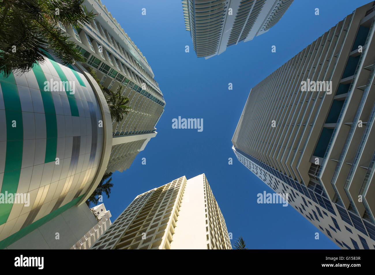 LUXURY HIGH RISE SKYSCRAPERS DOWNTOWN MIAMI FLORIDA USA Stock Photo - Alamy