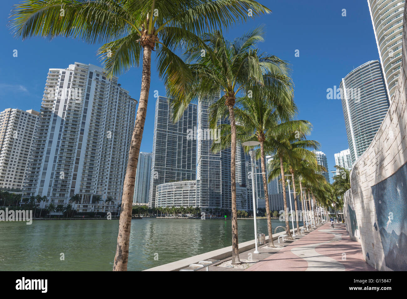 PALM TREES RIVERWALK BRICKELL AVENUE SKYLINE DOWNTOWN MIAMI FLORIDA USA ...