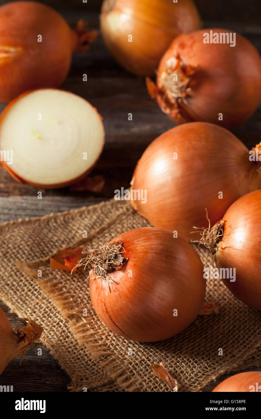 Raw Organic Yellow Onions Ready for Cooking Stock Photo - Alamy