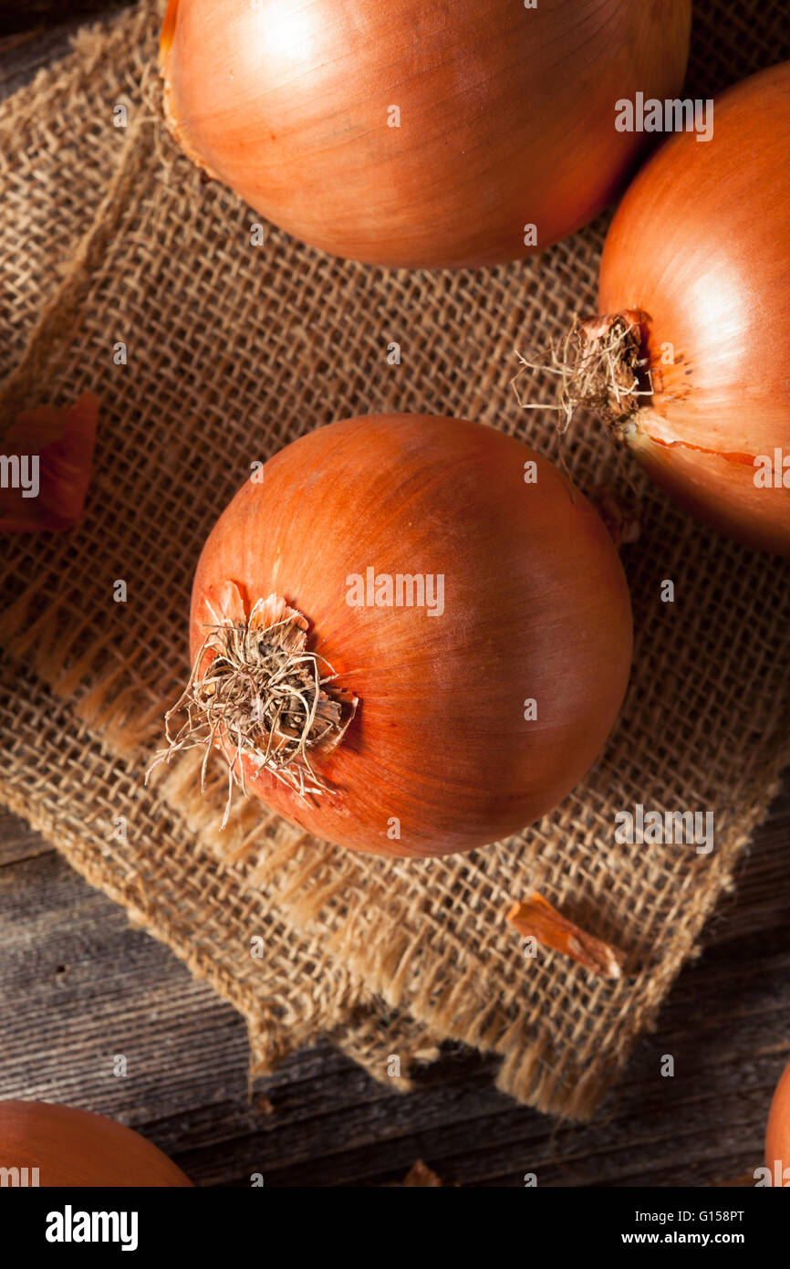Fresh yellow onions hi-res stock photography and images - Alamy