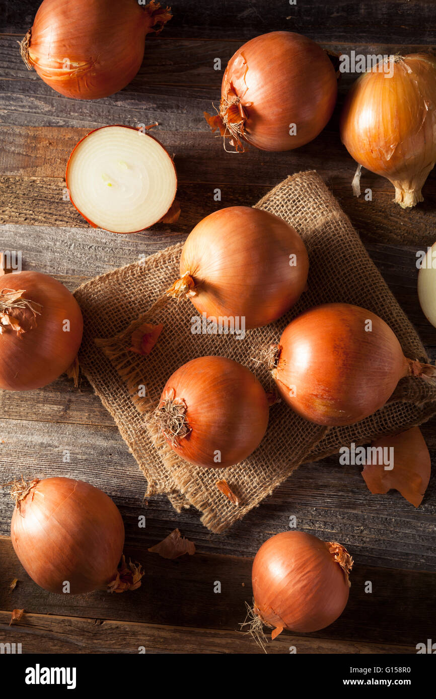 Raw Organic Yellow Onions Ready for Cooking Stock Photo - Alamy