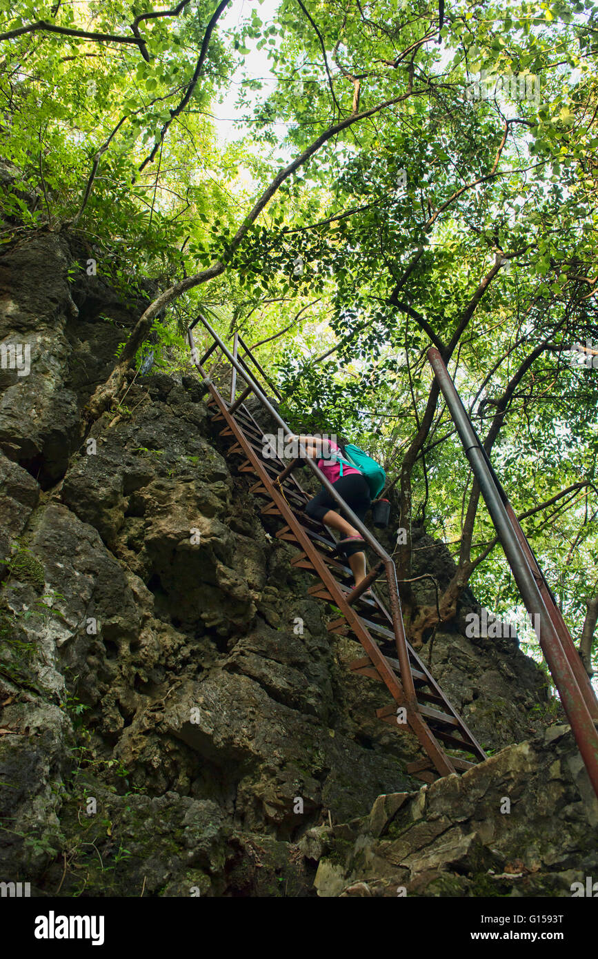 Chinese mountain ladder hi-res stock photography and images - Alamy