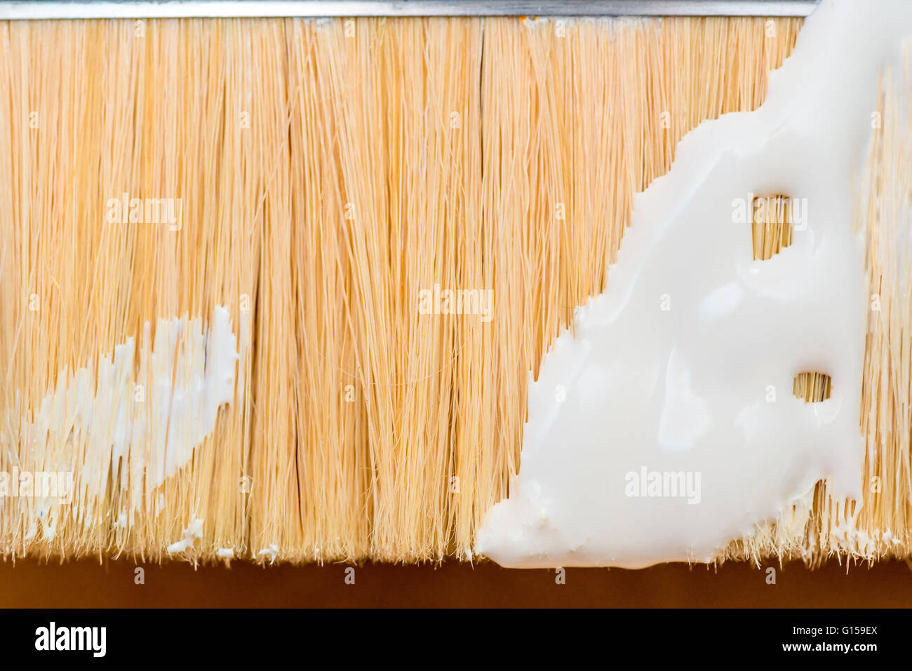 bristle paint brush close-up of white paint smeared Stock Photo - Alamy