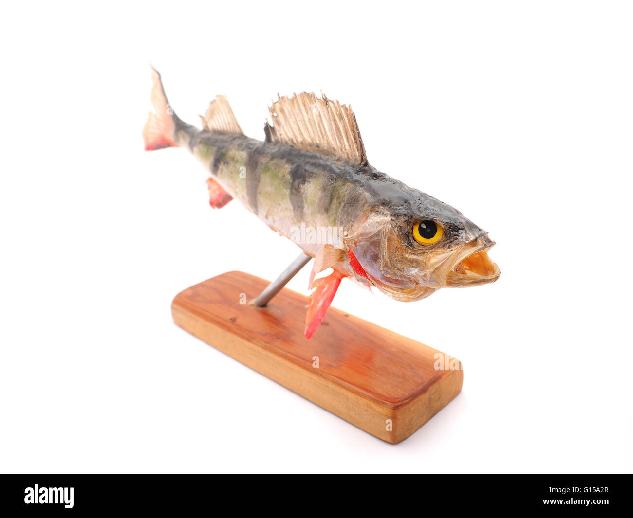 Dried fish on a white background Stock Photo - Alamy