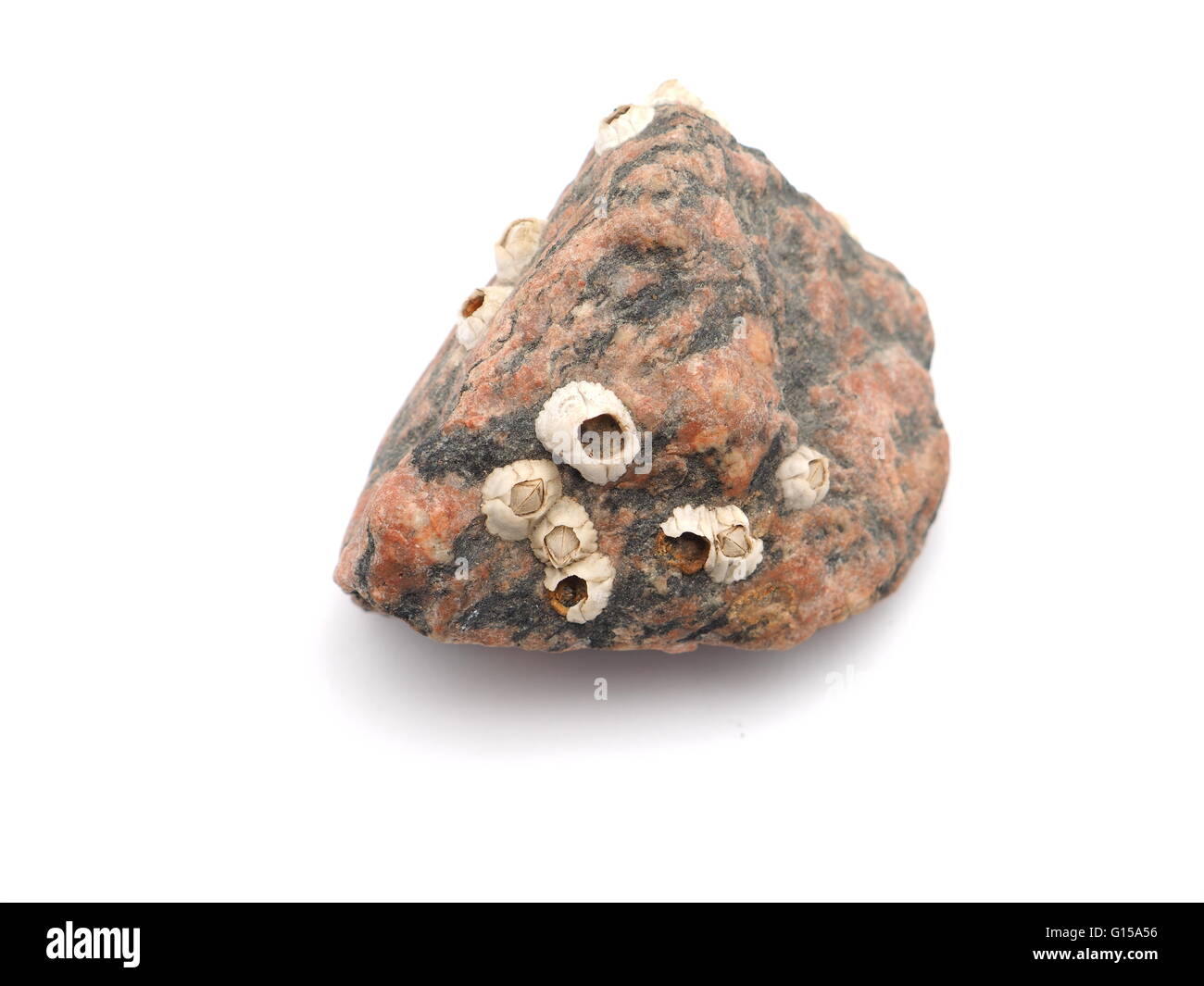 Natural background rocks on shore Cut Out Stock Images & Pictures - Alamy