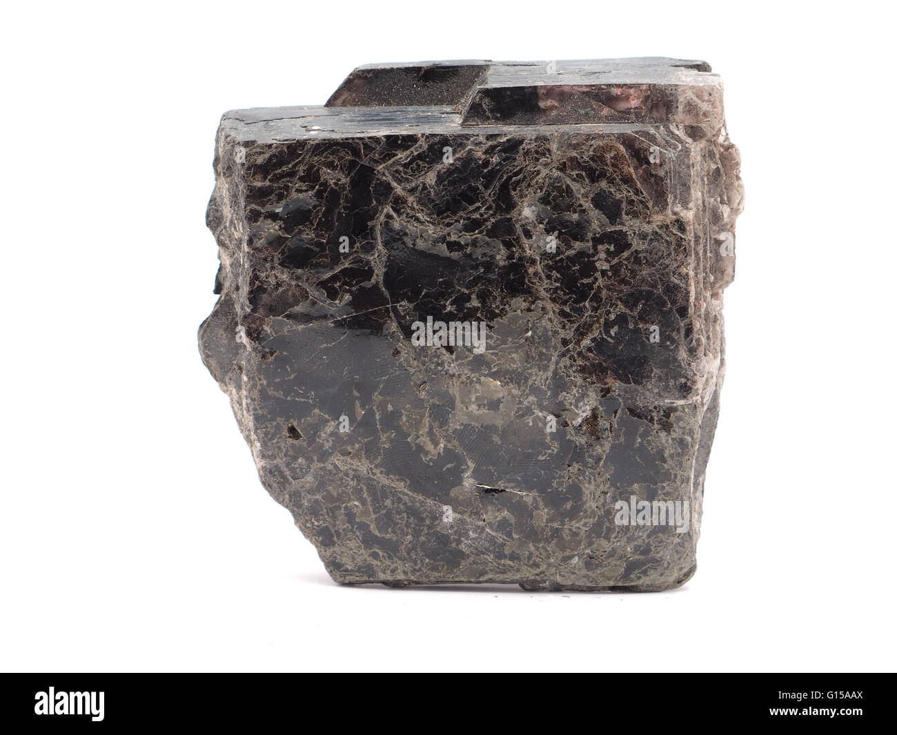 muscovite black on a white background Stock Photo - Alamy