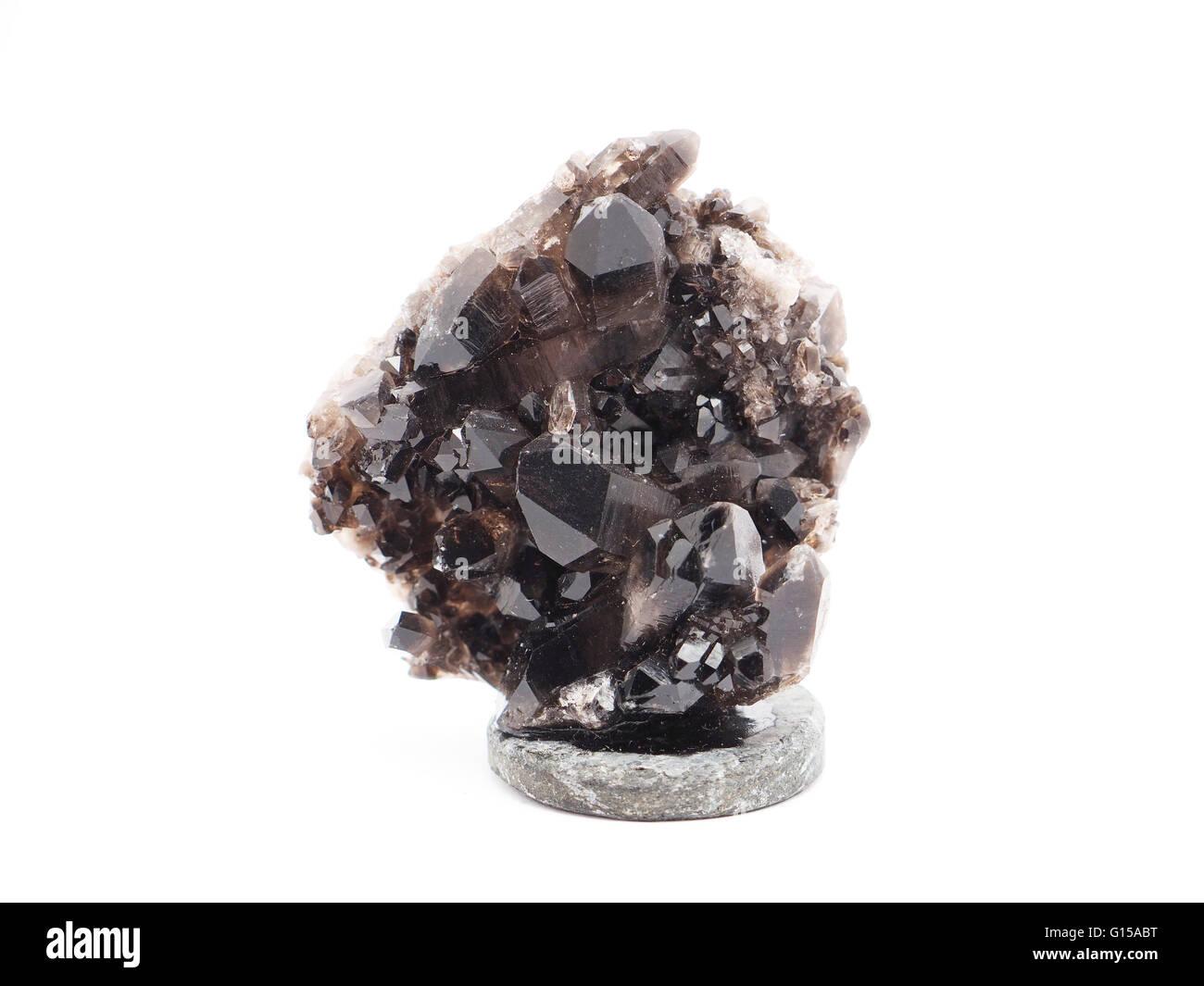 Morion on a white background Stock Photo - Alamy