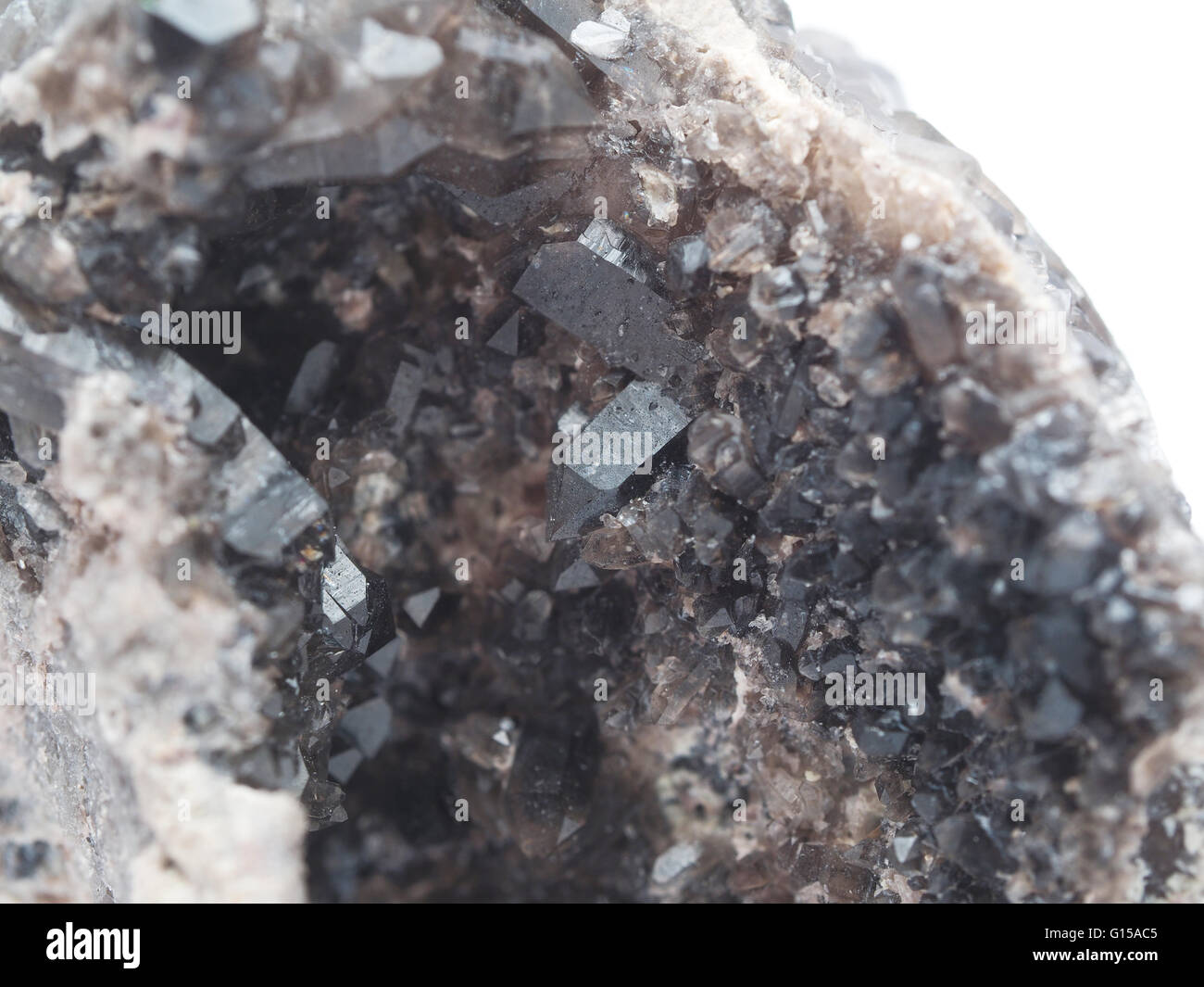 Morion on a white background Stock Photo - Alamy