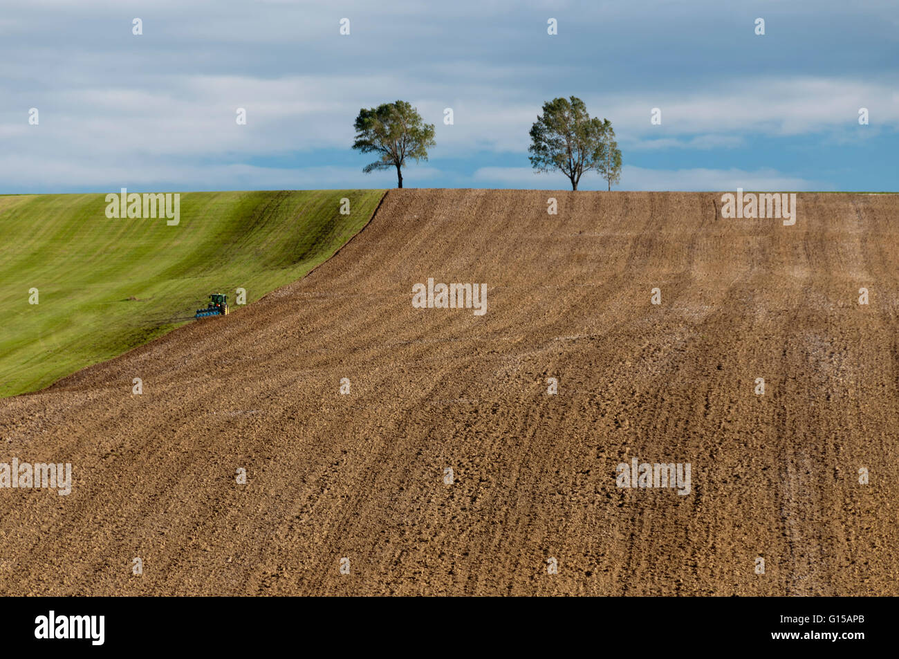 Tractor cultivating large farm fields of the grass land Stock Photo - Alamy