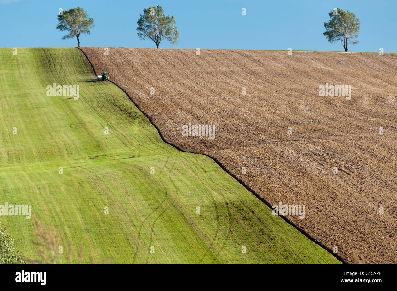 Tractor cultivating large farm fields of the grass land Stock Photo - Alamy