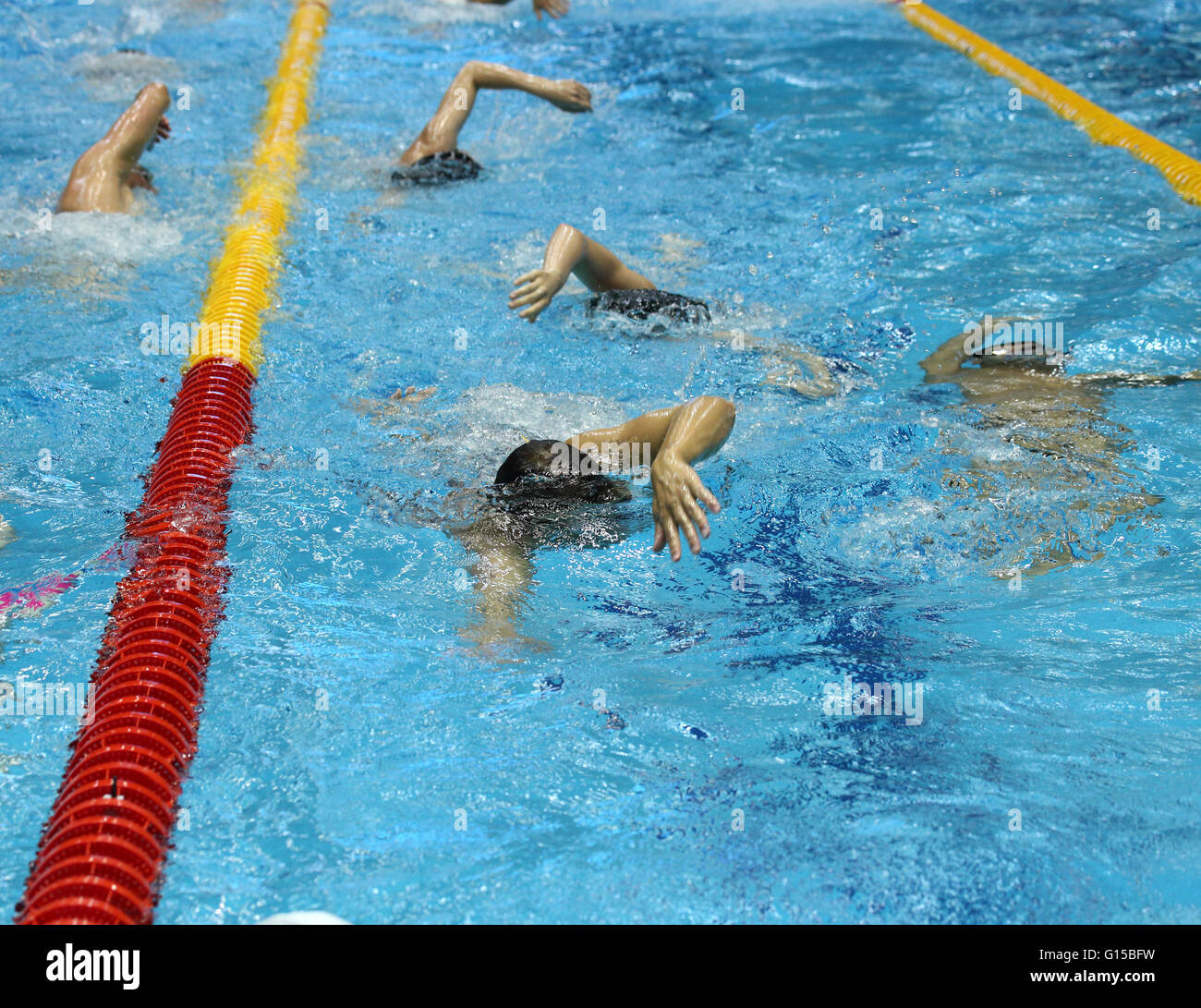 Warm-up at the German Swimming Championships, Deutsche Meisterschaften ...