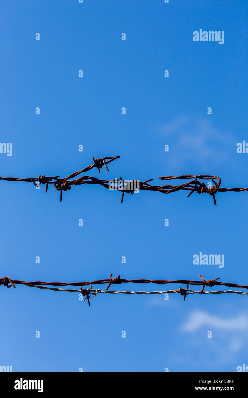 Twisted barbed wire hi-res stock photography and images - Alamy