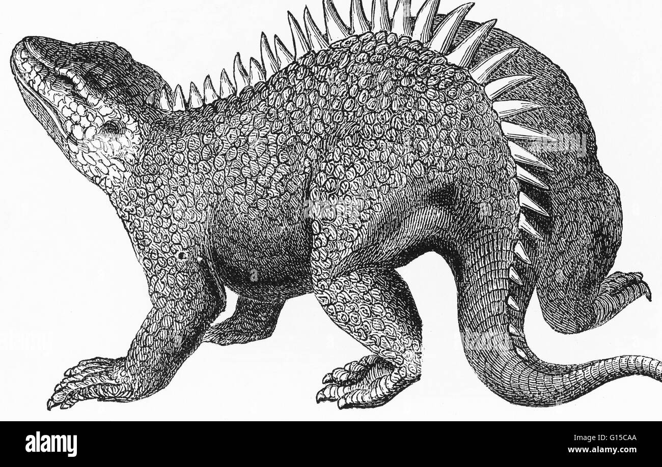 Hylaeosaurus hi-res stock photography and images - Alamy