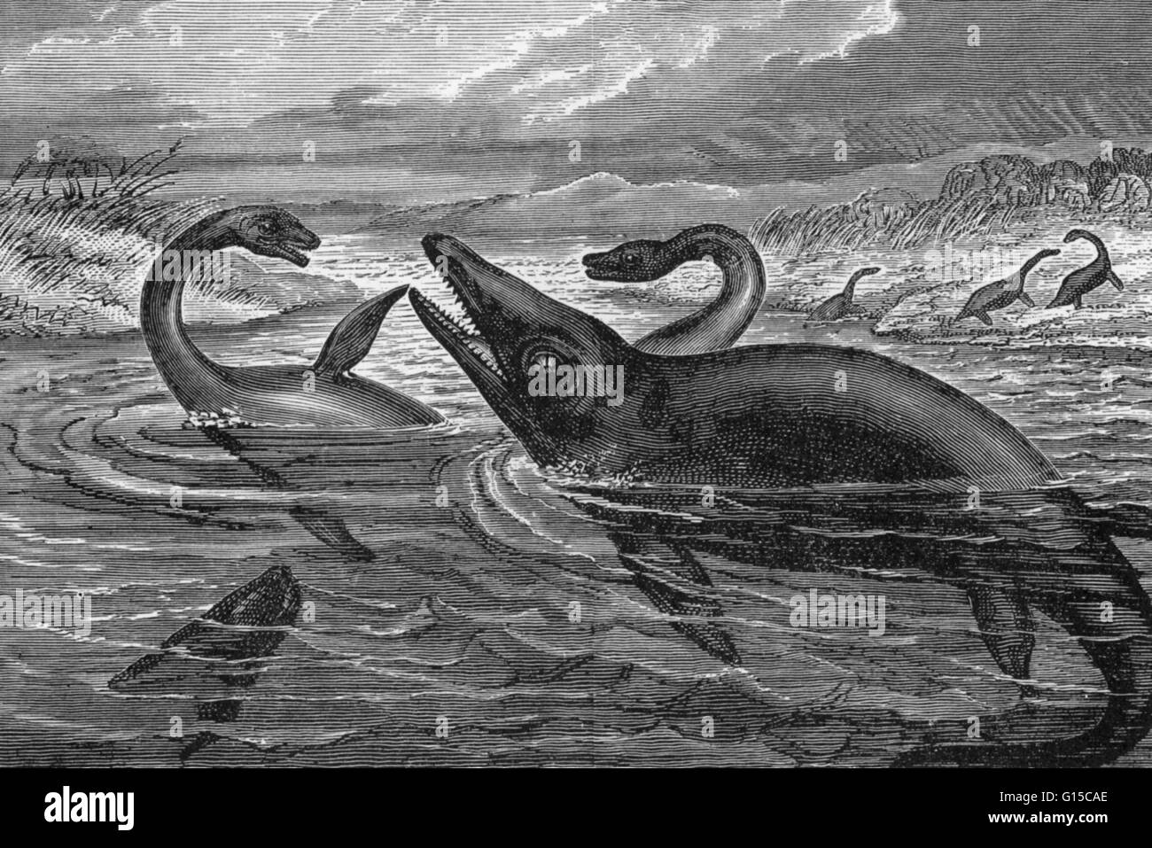 Art swimming Black and White Stock Photos & Images - Alamy