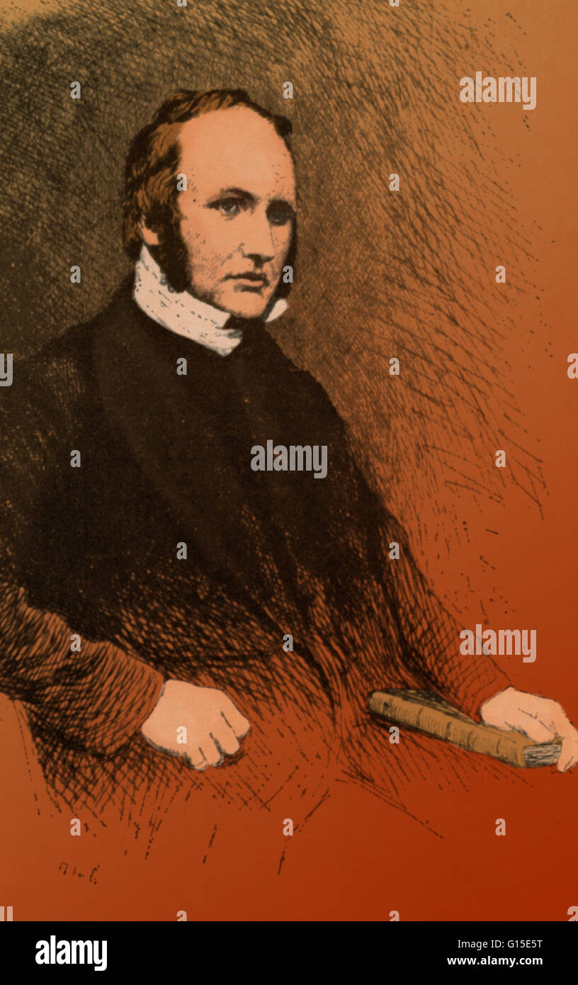 Alexander wood hi-res stock photography and images - Alamy