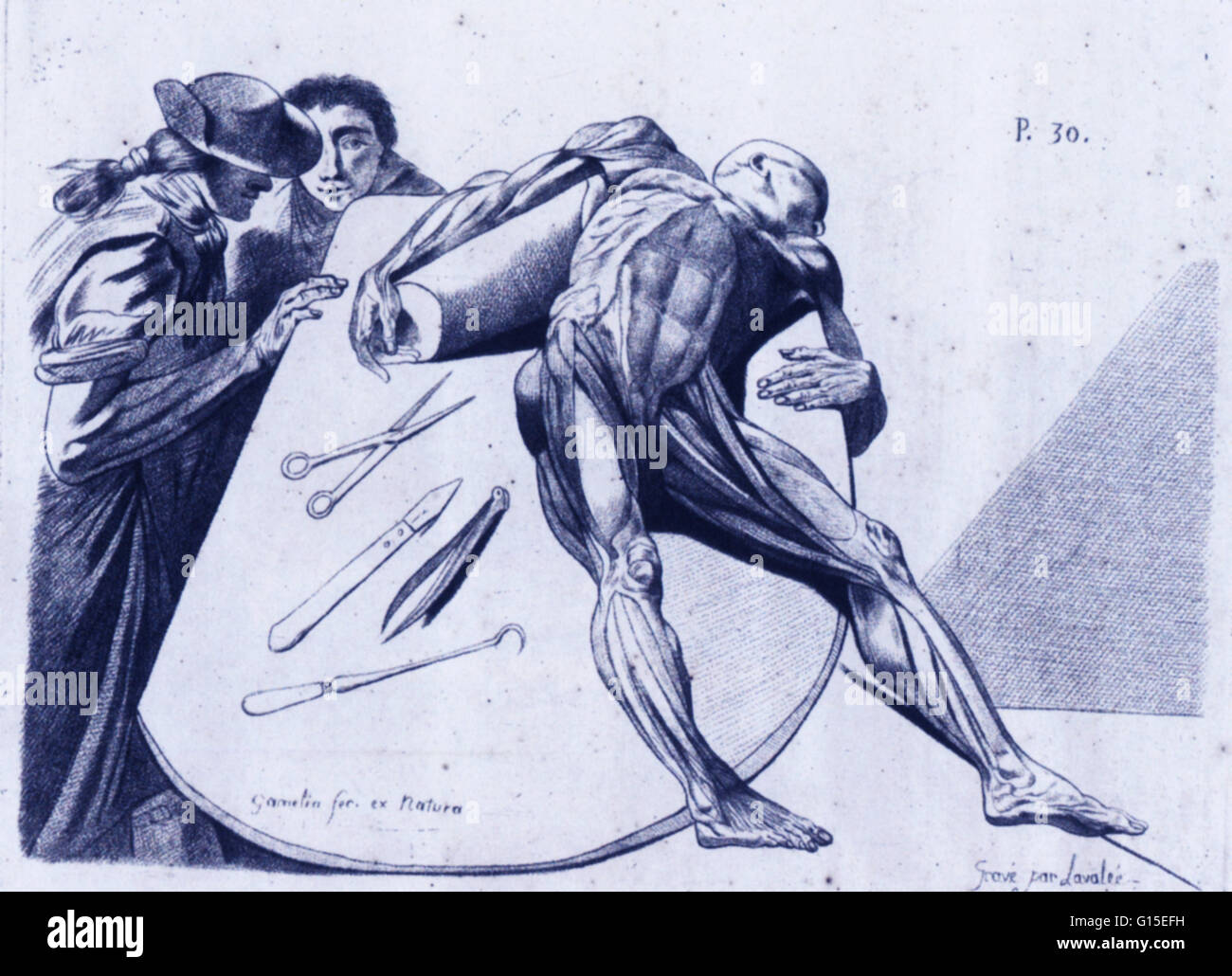 Cadaver dissection illustration hi-res stock photography and images - Alamy