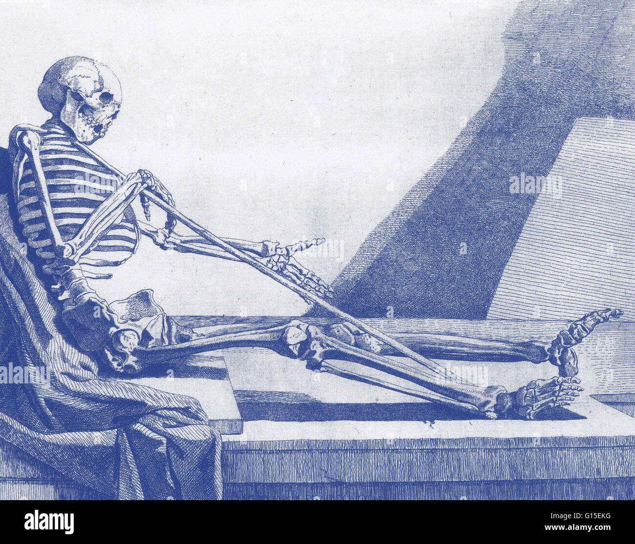 A skeleton on a slab, with a dissection prop. Allegorical death Stock ...